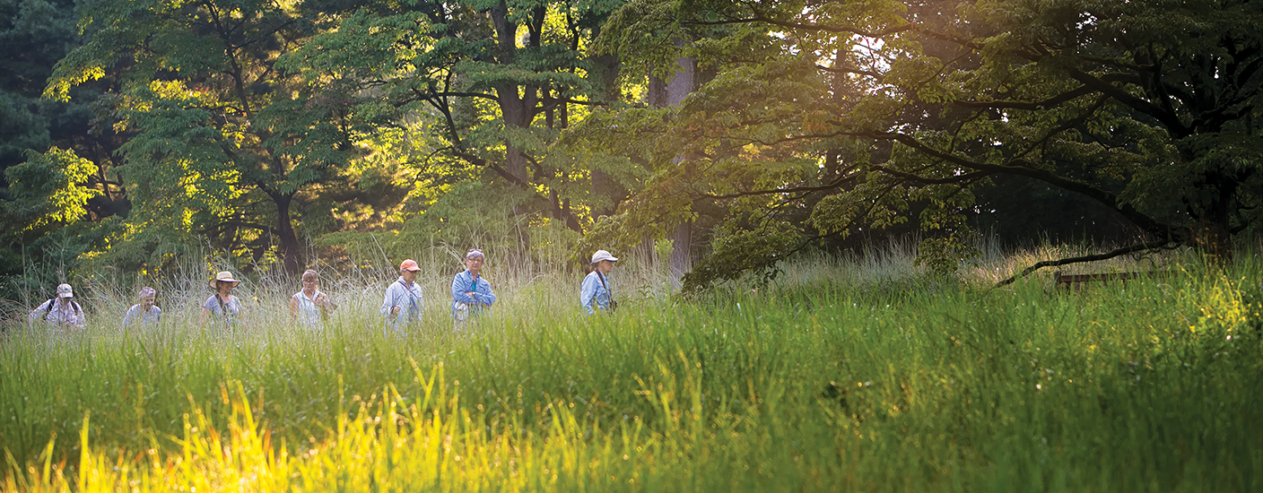 Fresh Air, Fresh Perspective - Out & About Magazine